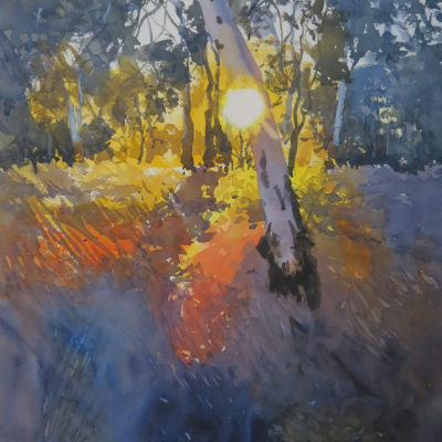 Gallery – Artworks by Lucy & Barry McCann | McCann Fine Art